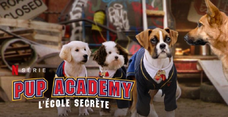 Pup Academy Saison 3 : Quelle date de sortie Netflix ? Suite prévue