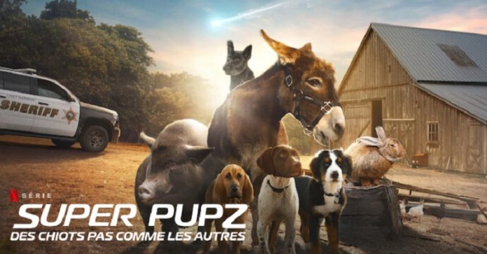 Super Pupz Saison 2 : Quelle date de sortie Netflix ? Une suite prévue