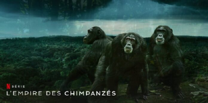 L’Empire des Chimpanzés Saison 2 : Quelle date de sortie Netflix