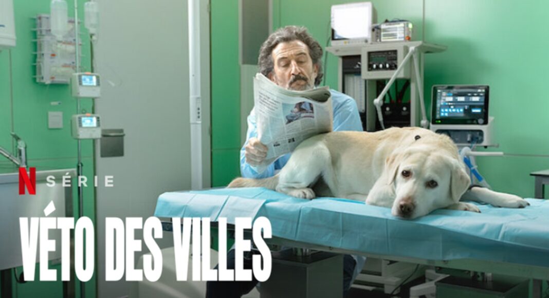 Véto des Villes Saison 2 : Quelle date de sortie Netflix ? | Ayther