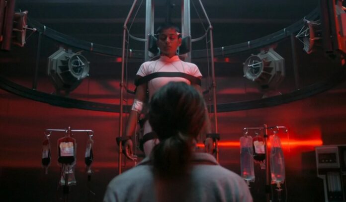 Stranger Things Saison 5 : Qui est 008 / Kali ? | Ayther